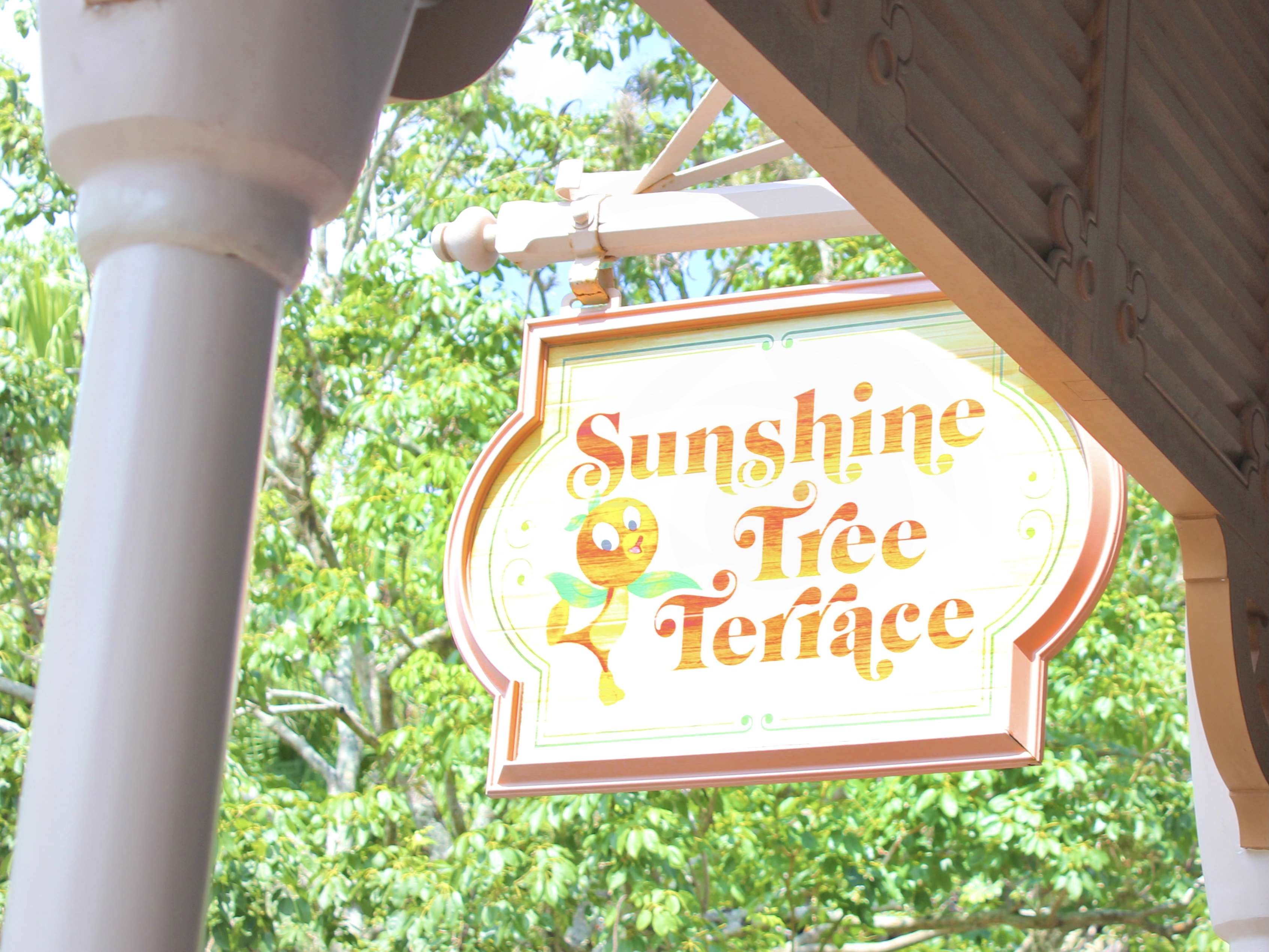 The Ultimate Guide To Mobile Ordering in Magic Kingdom